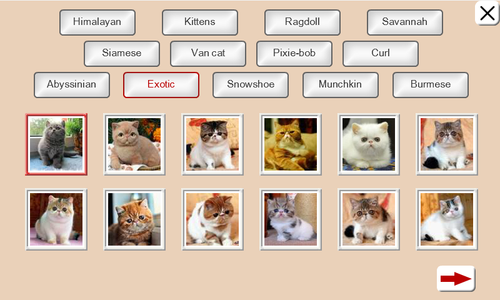بازی Guess The Cat Tile Puzzle دانلود بازار