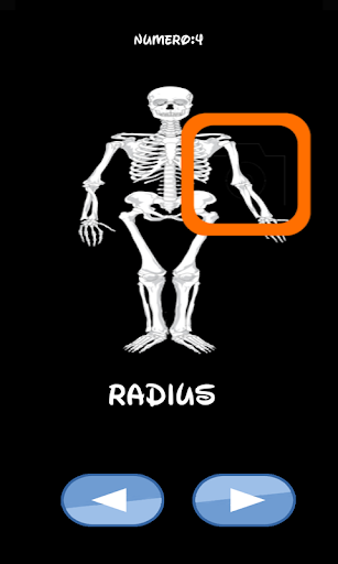 دانلود برنامه Skeleton bones, guess what is اندروید | بازار