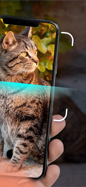 دانلود برنامه Cat Identifier Cat Scanner اندروید بازار