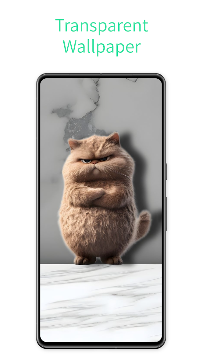 دانلود برنامه Transparent Live Wallpaper ۴K اندروید | بازار