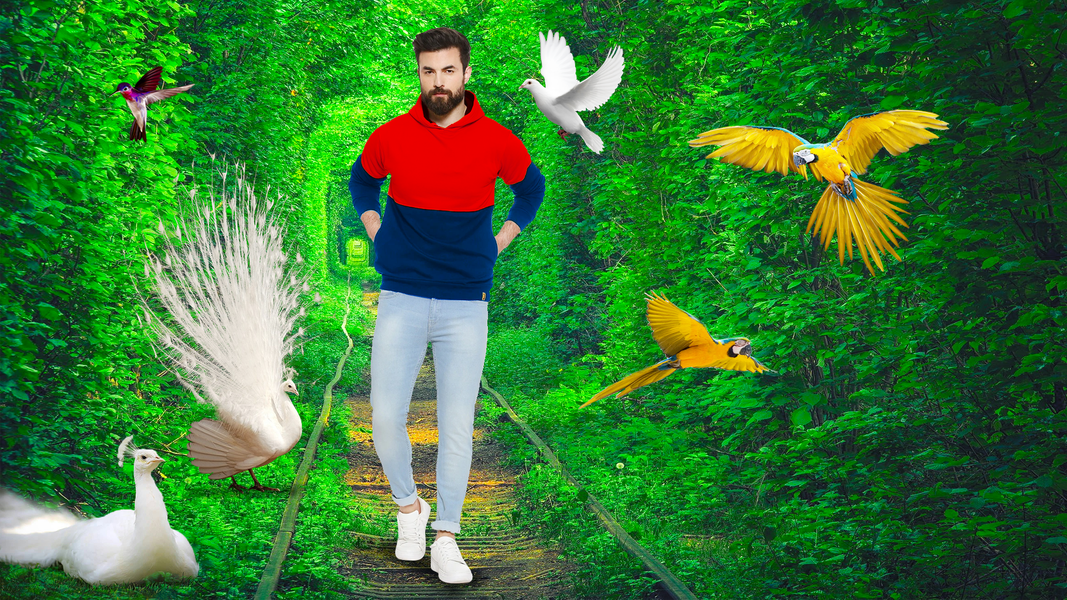 دانلود برنامه Birds Photo Editor Pic Frames اندروید بازار