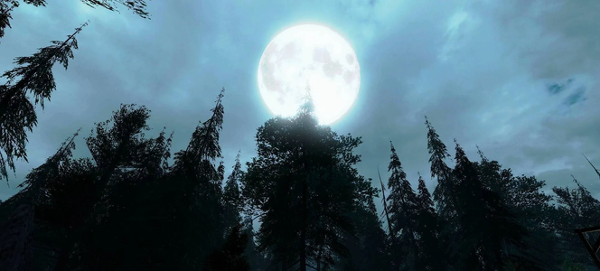 بازی Vr Scary Forest دانلود بازار