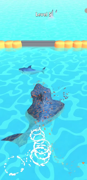 دانلود بازی Shark Evolve اندروید بازار