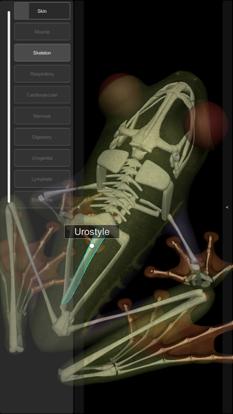 دانلود برنامه ۳d Frog Skeleton اندروید بازار