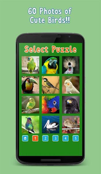 دانلود بازی Birds Puzzle Game اندروید | بازار