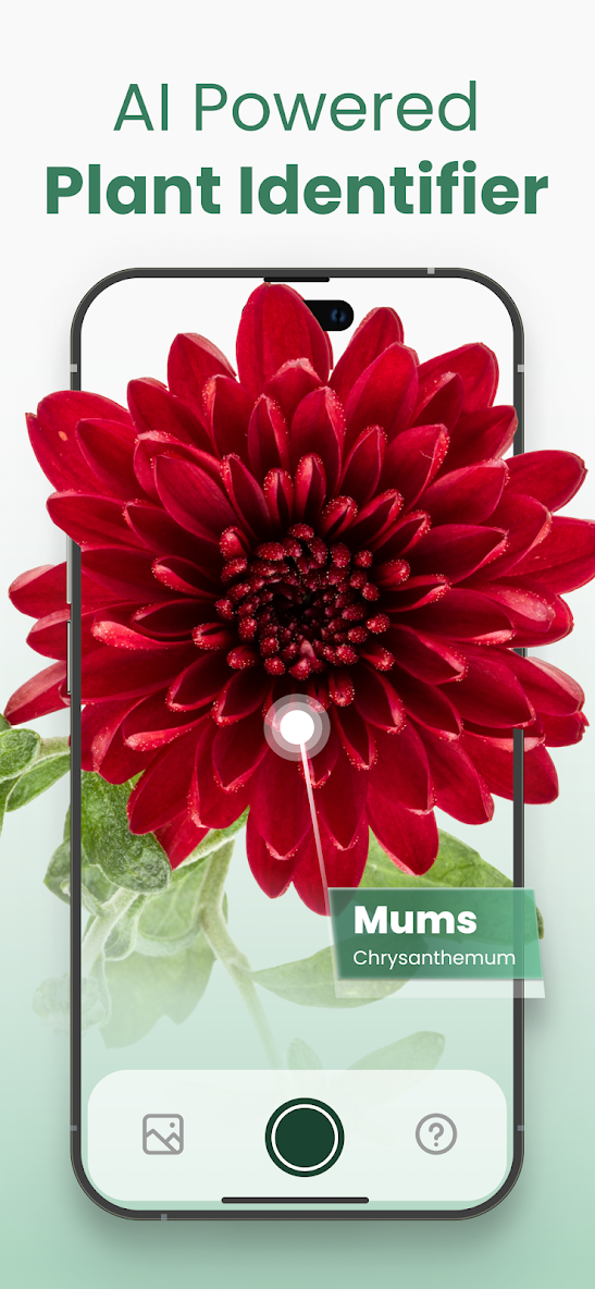دانلود برنامه Plantify: AI Plant Identifier اندروید | بازار