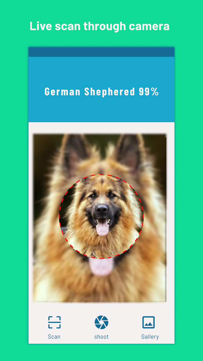 دانلود برنامه Identify Dog breeds -BreedSnap اندروید | بازار