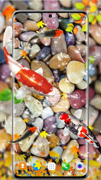 دانلود برنامه Koi Pet Fish Live Wallpaper اندروید | بازار