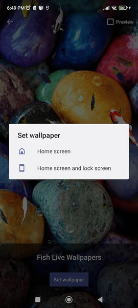 دانلود برنامه Koi Pet Fish Live Wallpaper اندروید | بازار