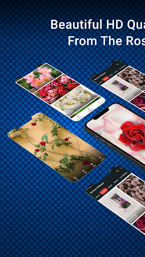 برنامه Hd Rose Flowers Live Wallpaper دانلود بازار