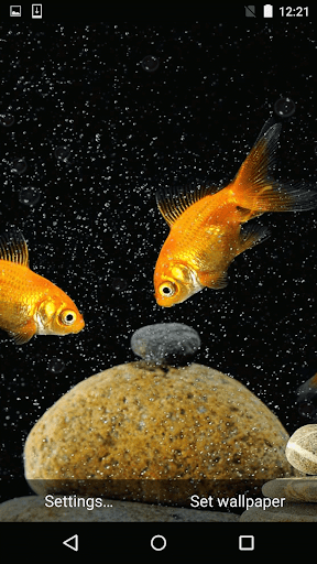 دانلود برنامه Aquarium Live Wallpaper اندروید بازار