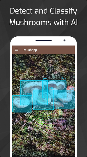 دانلود برنامه Mushrooms Ai Identifier اندروید بازار