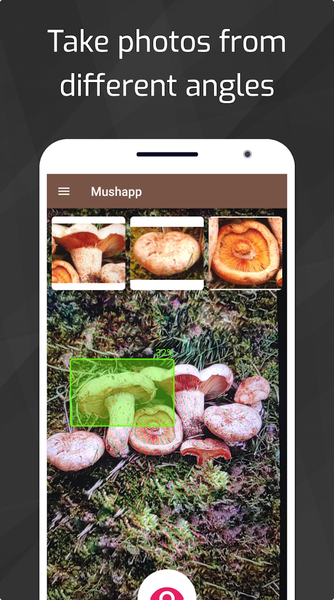 دانلود برنامه Mushrooms Ai Identifier اندروید بازار