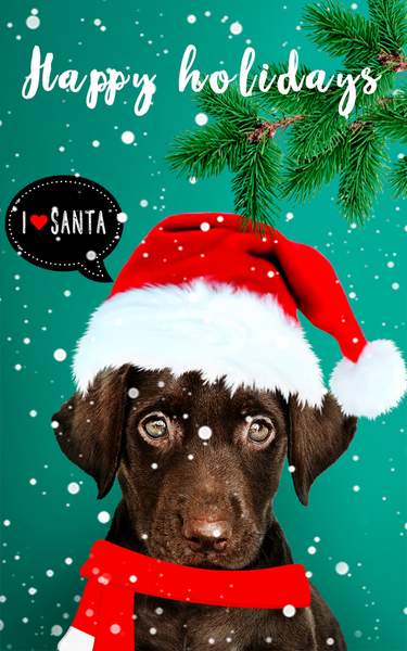 دانلود برنامه Christmas Frames Photo Editor اندروید بازار