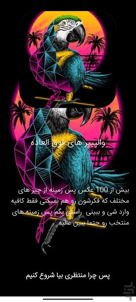 دانلود برنامه پس زمینه طوطی اندروید بازار