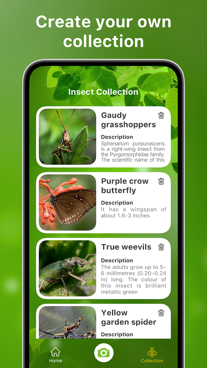 دانلود برنامه Bug Identifier Bug Finder اندروید بازار