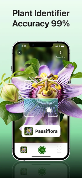 دانلود برنامه Plant disease identifier اندروید | بازار