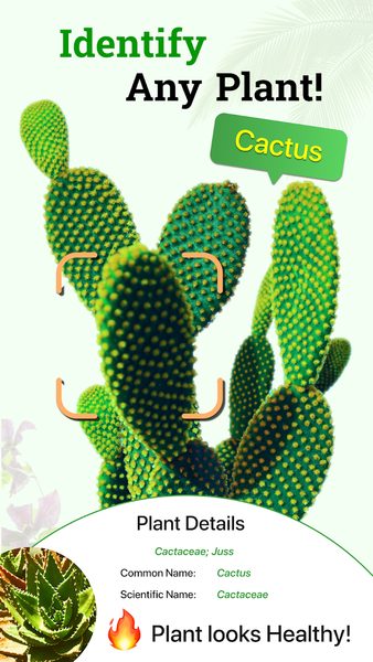 دانلود برنامه Plant Identifier Plant Id اندروید بازار