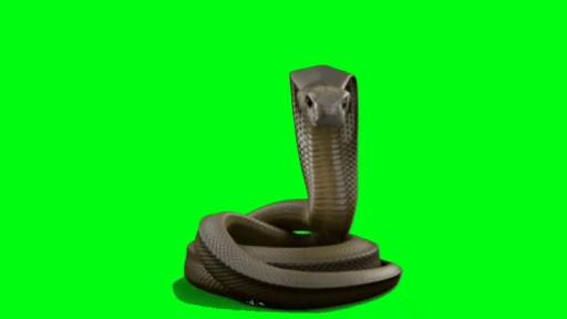 دانلود برنامه VFX Snakes Effect - Snake Green Screen Videos اندروید | بازار