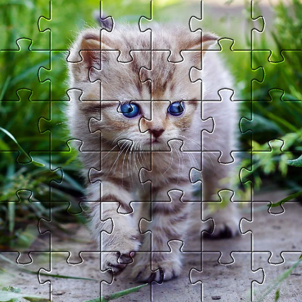 دانلود بازی Kittens Cute Cat Jigsaw Puzzle اندروید بازار