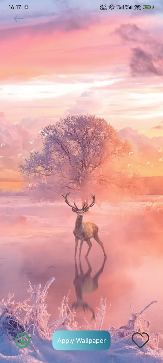 دانلود برنامه Wallpaper Box:۴K Wallpaper اندروید | بازار