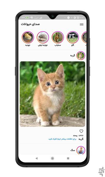 دانلود بازی صدای حیوانات اندروید بازار