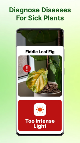 دانلود برنامه Plant Identifier اندروید بازار